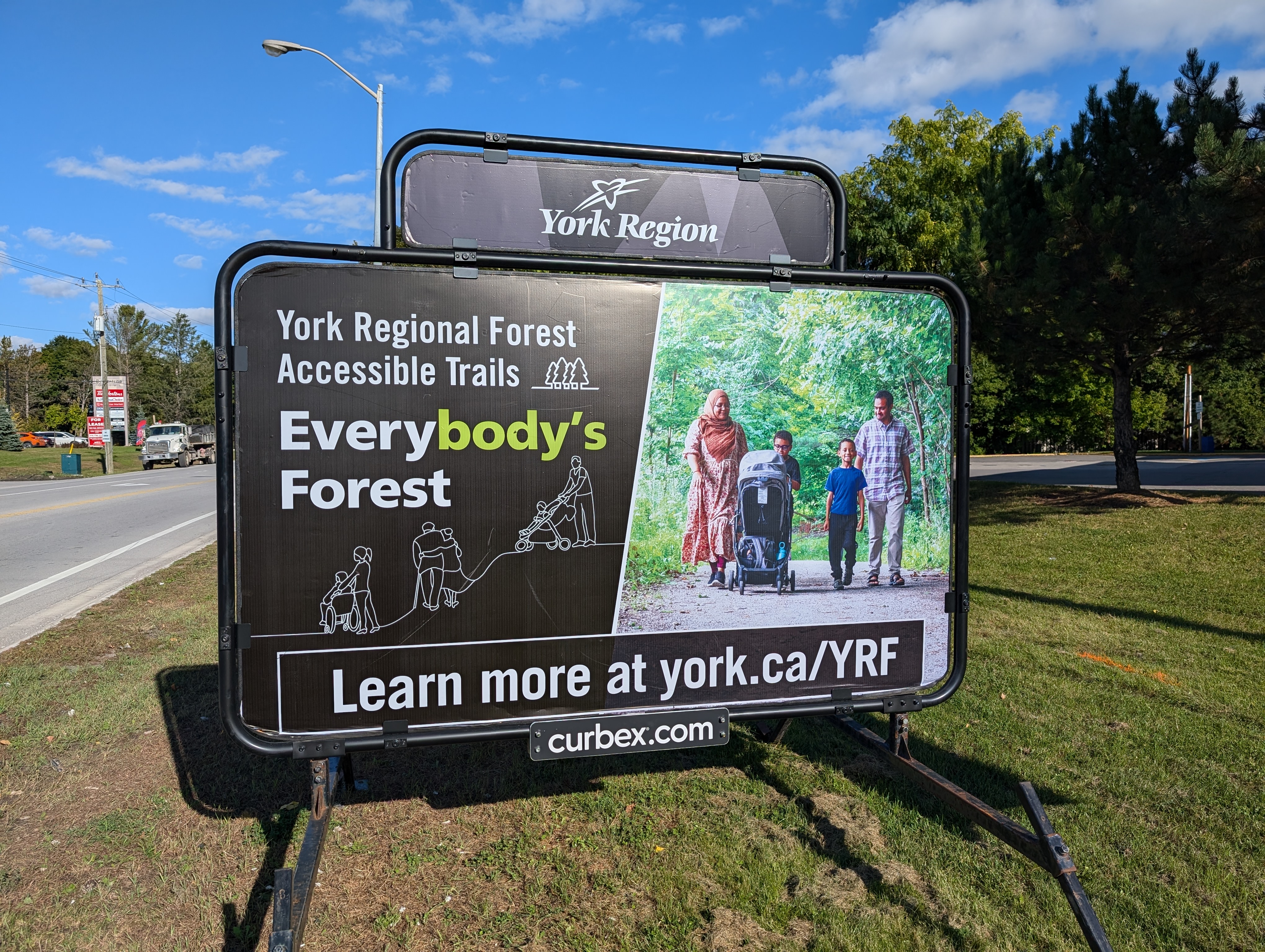 York Region achieves world-first urban forestry certification under SFI ...